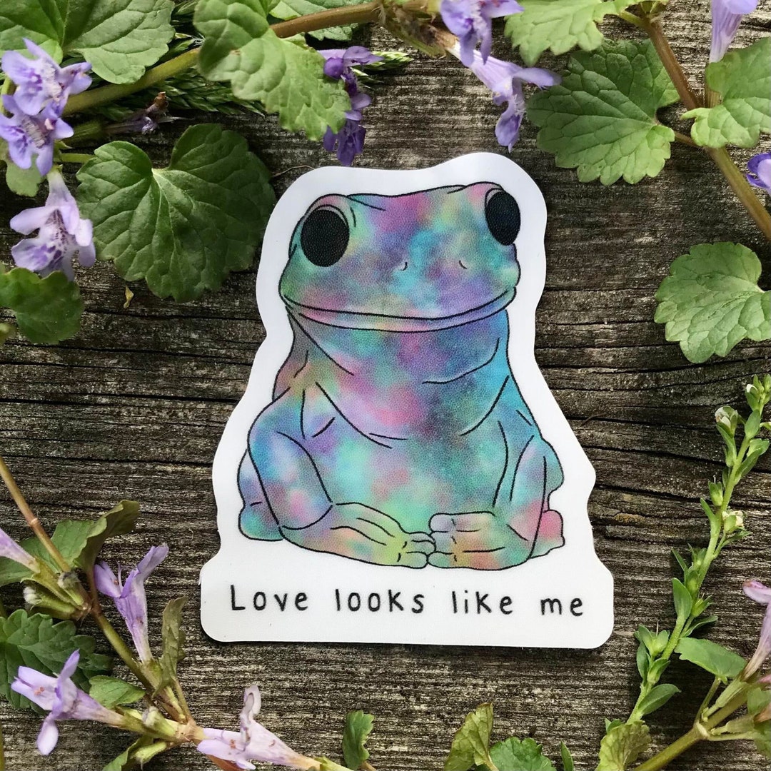 Love Looks Like Me Frog Sticker, Affirmation Frog Sticker, Rainbow Frog ...