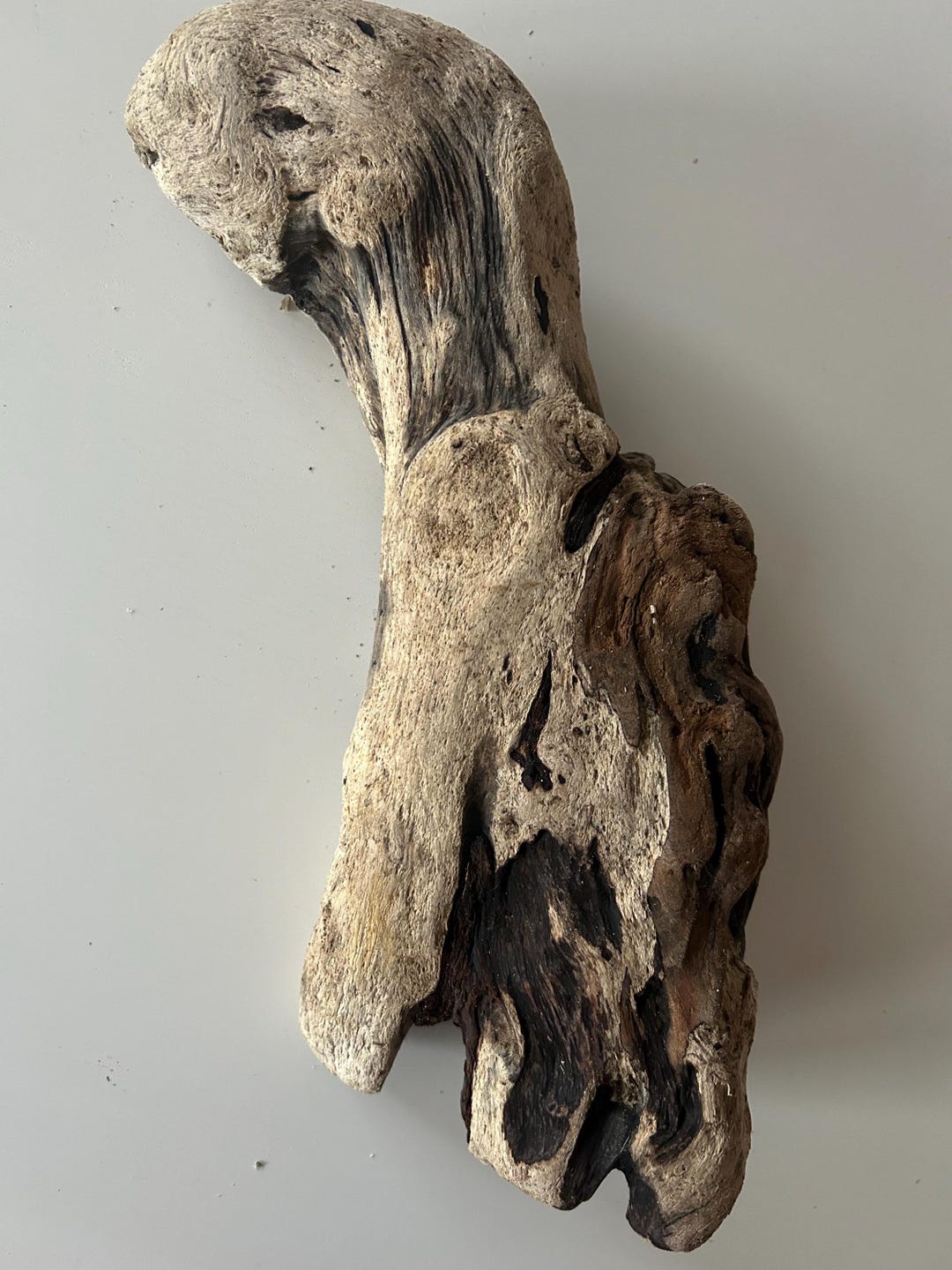 Dinosaur-shaped Driftwood Piece - Etsy