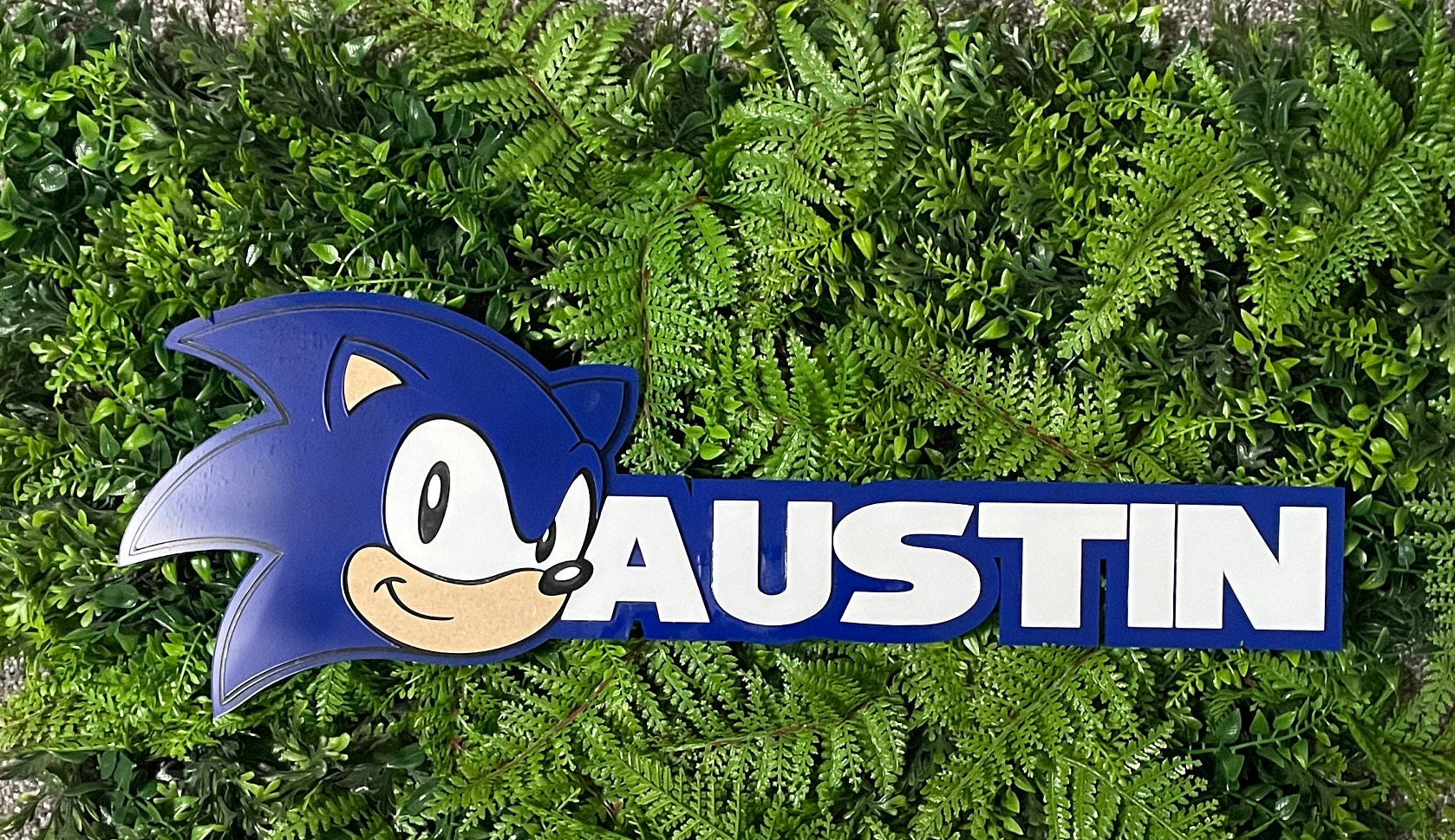 Sonic the Hedgehog Name Sign Kids Room Wall Decor Sonic - Etsy