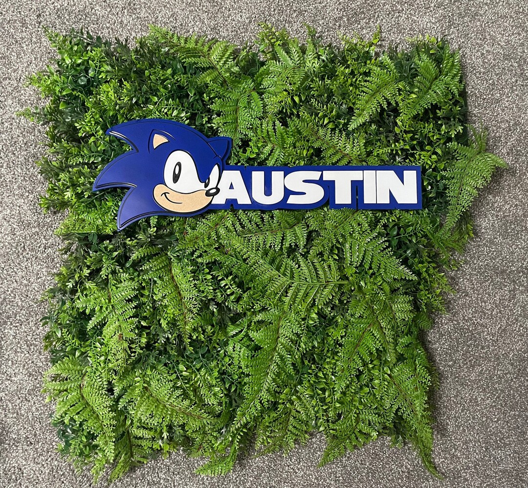 Sonic the Hedgehog Name Sign Kids Room Wall Decor Sonic Birthday Gift ...