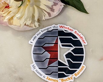 Bucky Water Bottle - Etsy