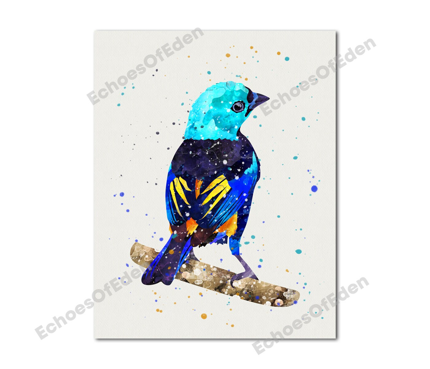 Seven Colored Tanager