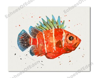 Japanese Bigeye Fish - Etsy