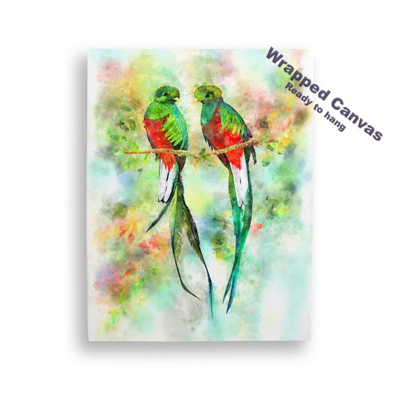 Resplendent Quetzal Canvas Print Guatemala National Bird Ready | Etsy