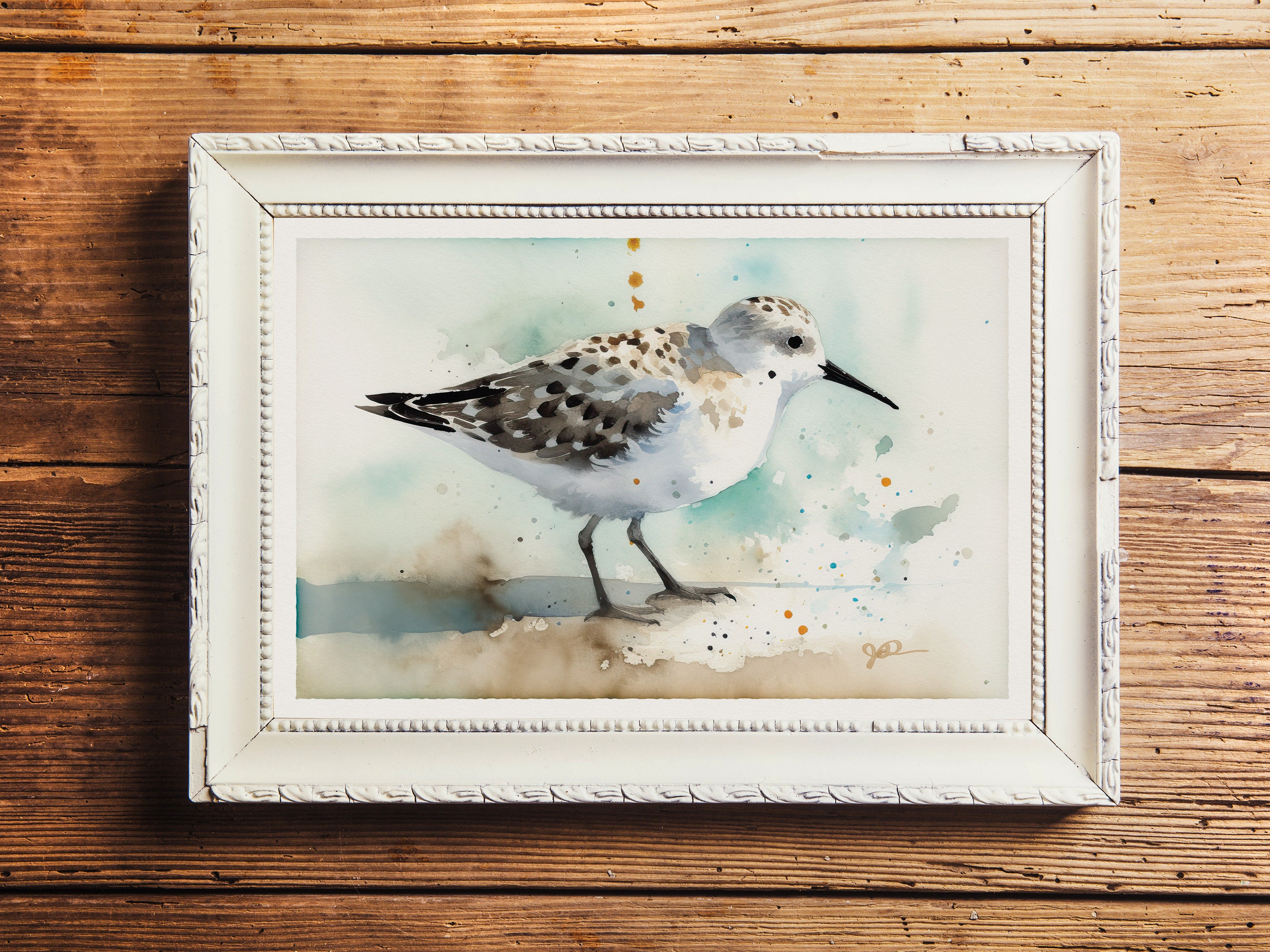 Sandpiper Art Watercolor Print Western Sandpiper Painting - Etsy