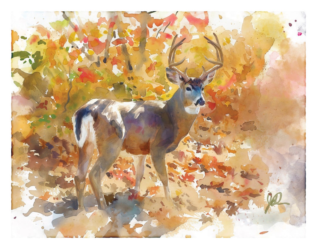 Whitetail Deer Print, White Tailed Deer Watercolor, Buck Painting Fine ...