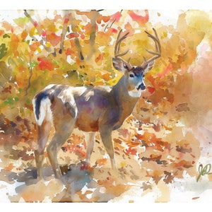 Whitetail Deer Print, White Tailed Deer Watercolor, Buck Painting Fine ...