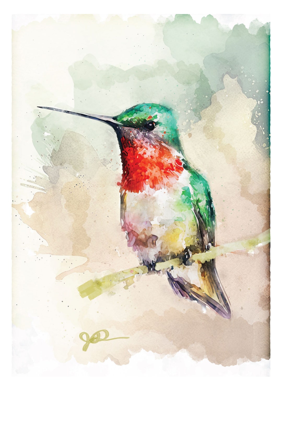 Hummingbird Watercolor Print Bird Ruby Throated Hummingbird Painting ...