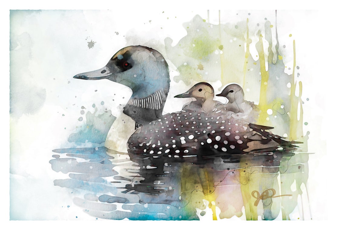 Loon With Chicks Watercolor Print Bird Painting Audubon Wall - Etsy