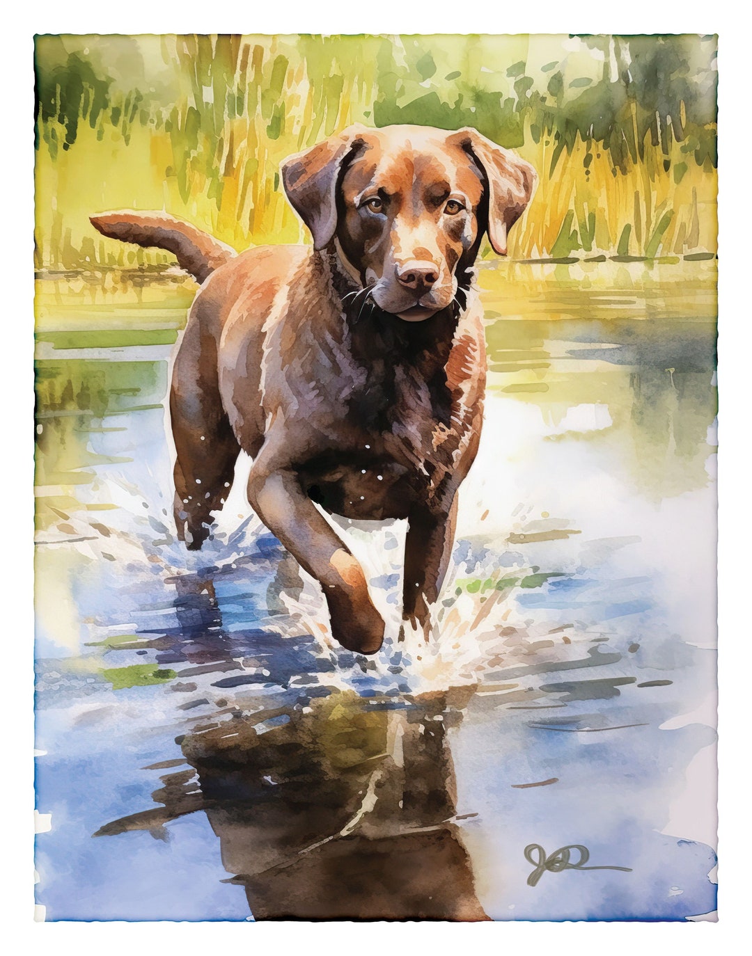 Chocolate Labrador Retriever Watercolor Print, Dog Painting, Chocolate ...