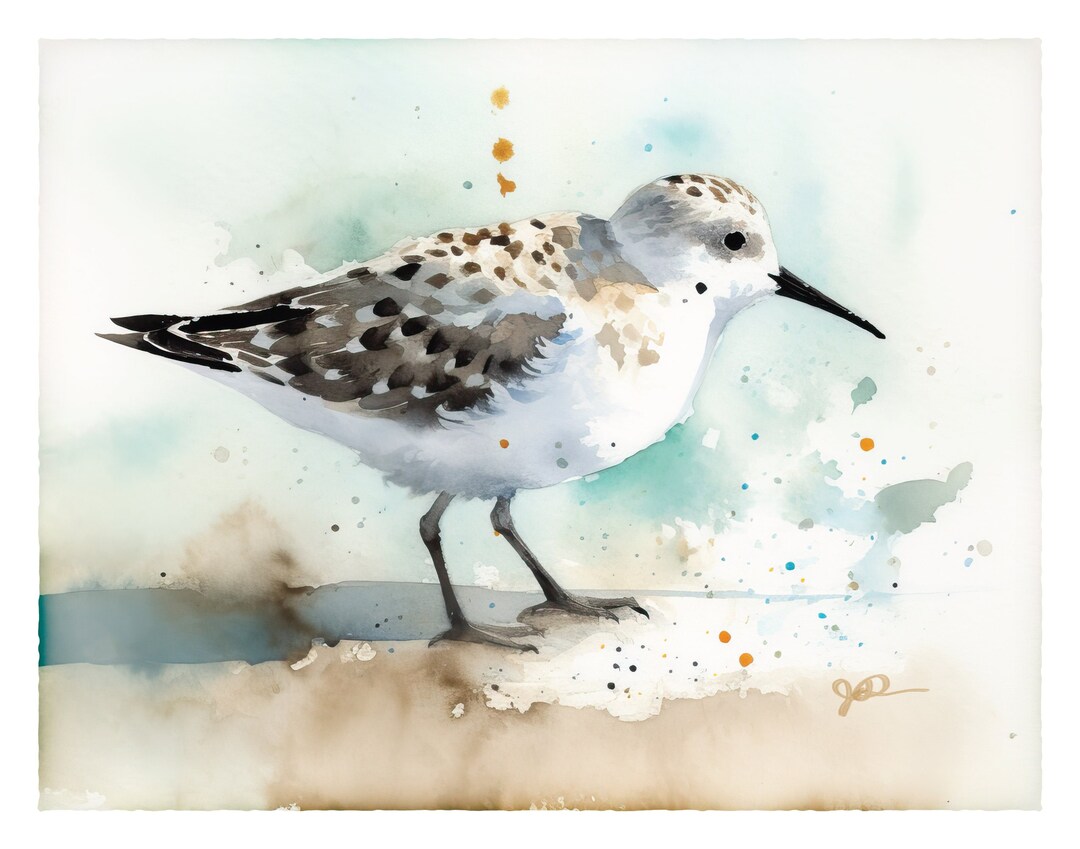 Sandpiper Art Watercolor Print Western Sandpiper Painting Giclee Bird ...