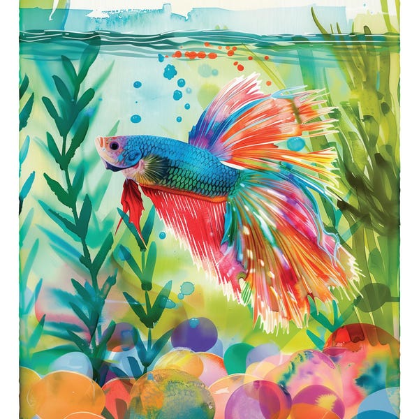 Betta Fish Art - Etsy
