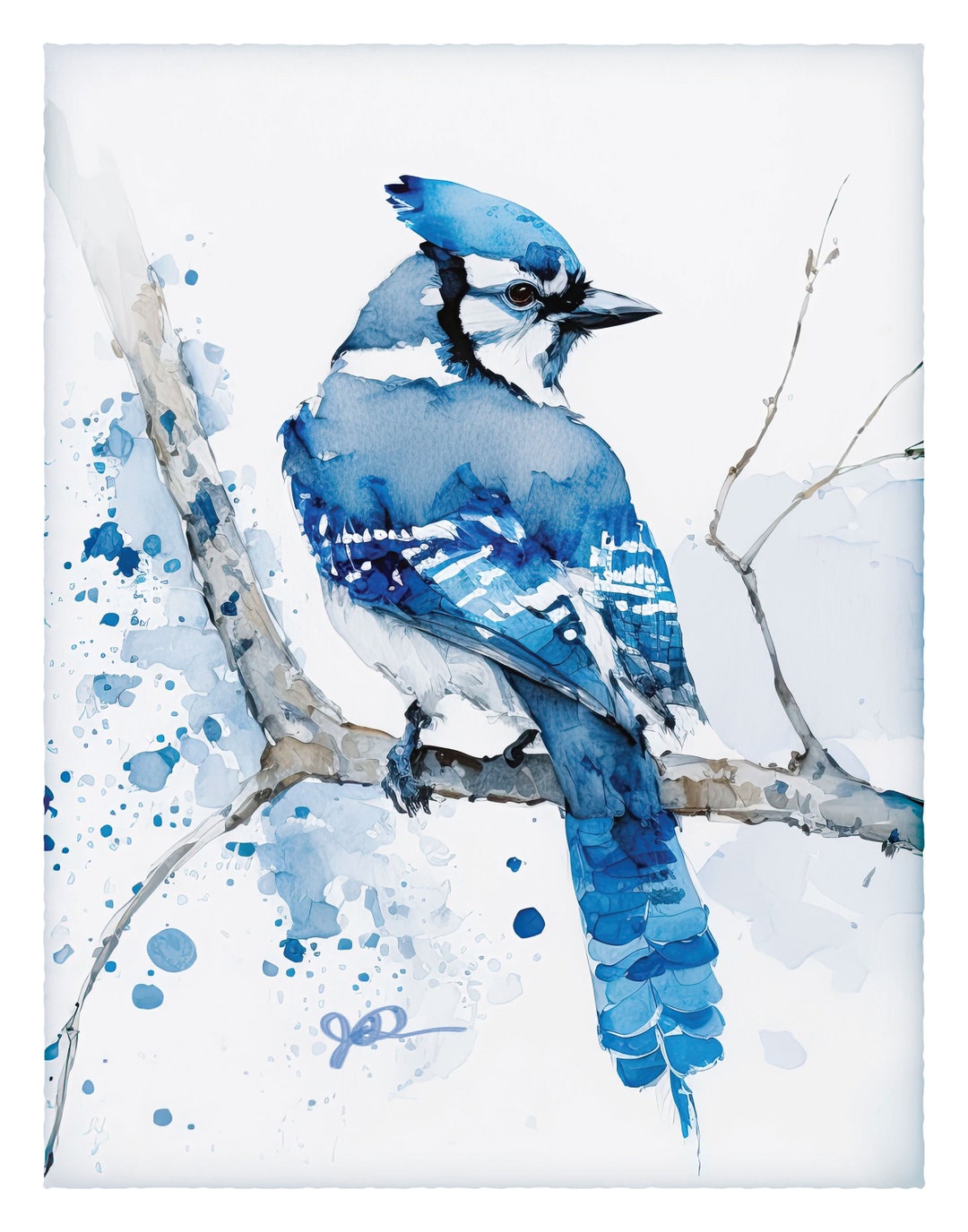 Blue Jay Watercolor Print Bird Watercolor Painting Giclee Gift Print ...
