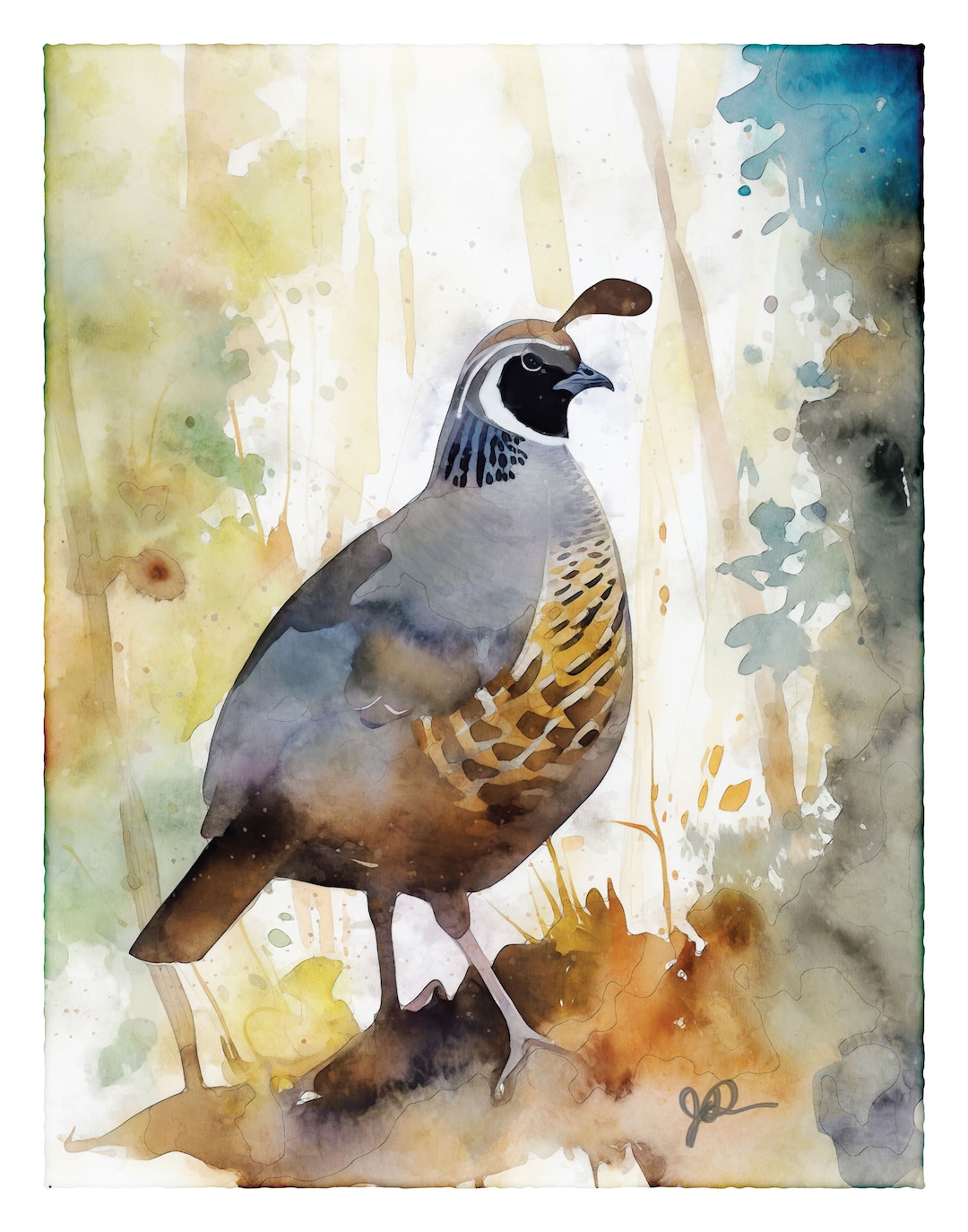 California Quail Watercolor Print, Wildlife Painting, Outdoor Nature ...