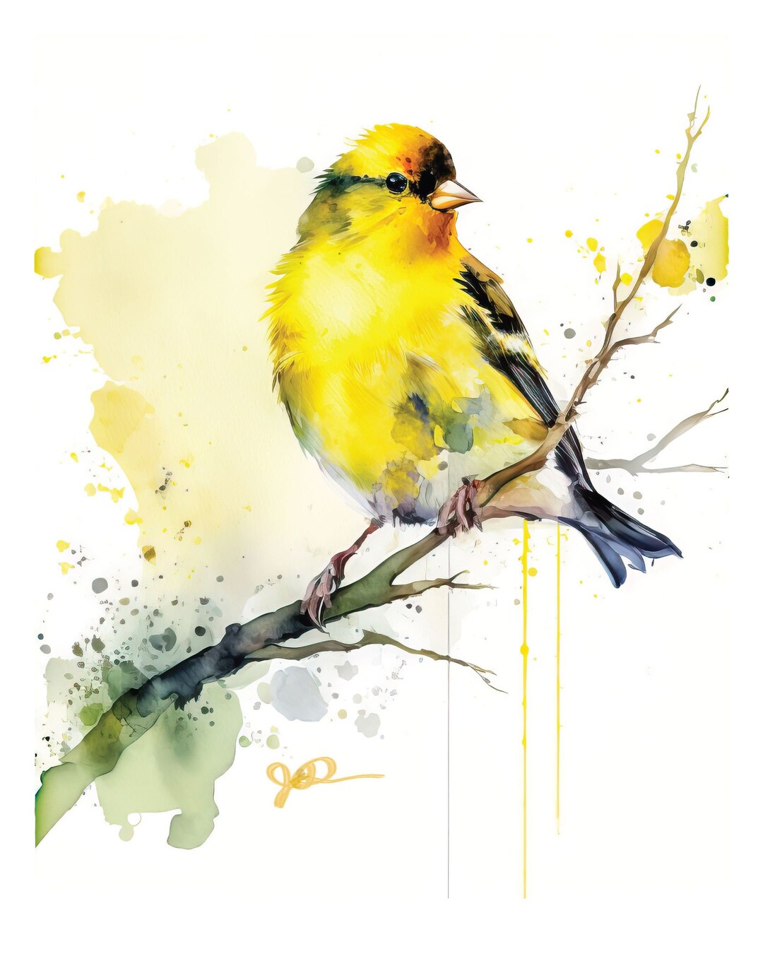 Goldfinch Watercolor Print Bird American Goldfinch Painting Giclee Gift ...