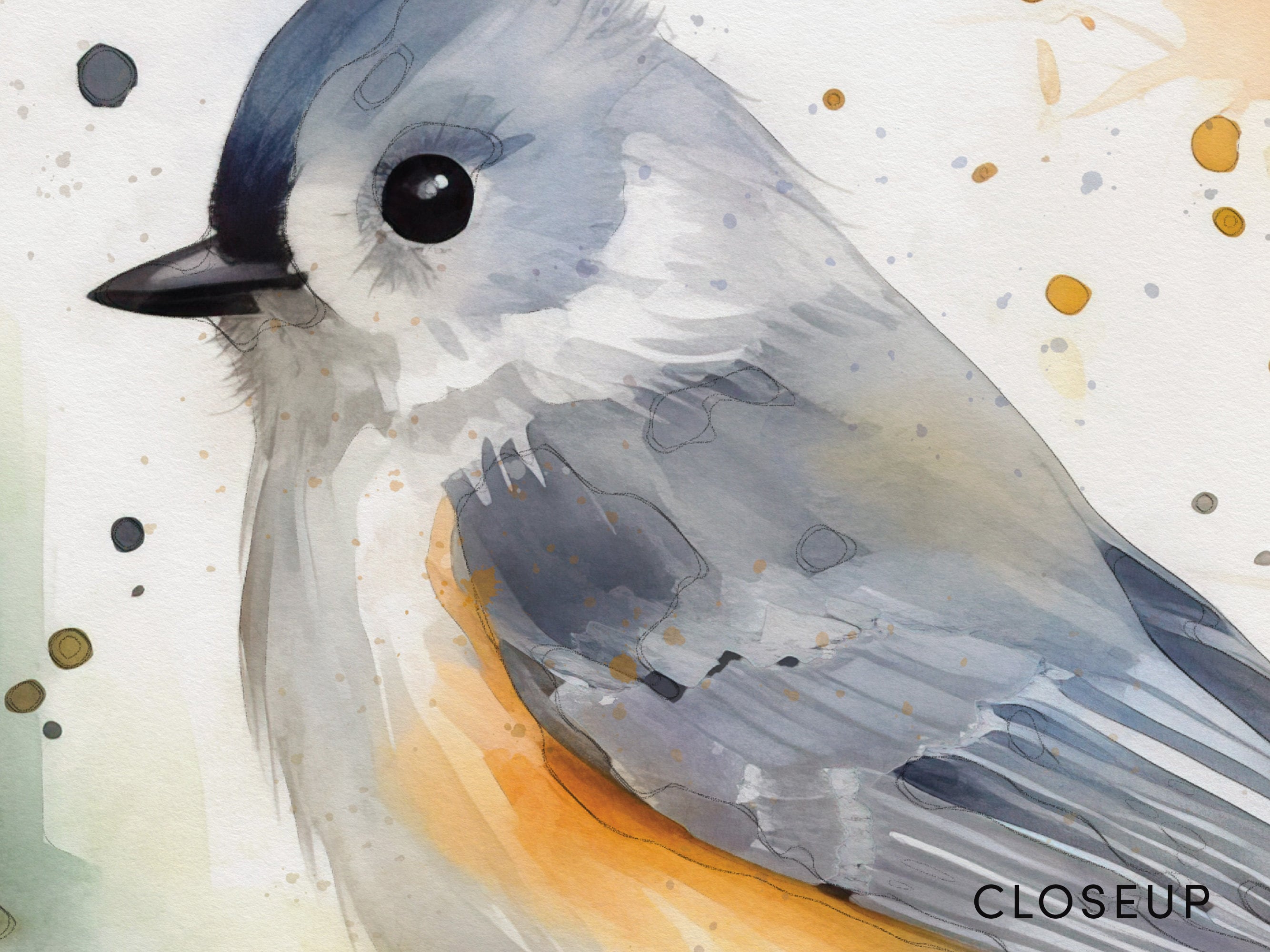 Tufted Titmouse Wall Art, Bird Watcher Watercolor Painting, Framed ...