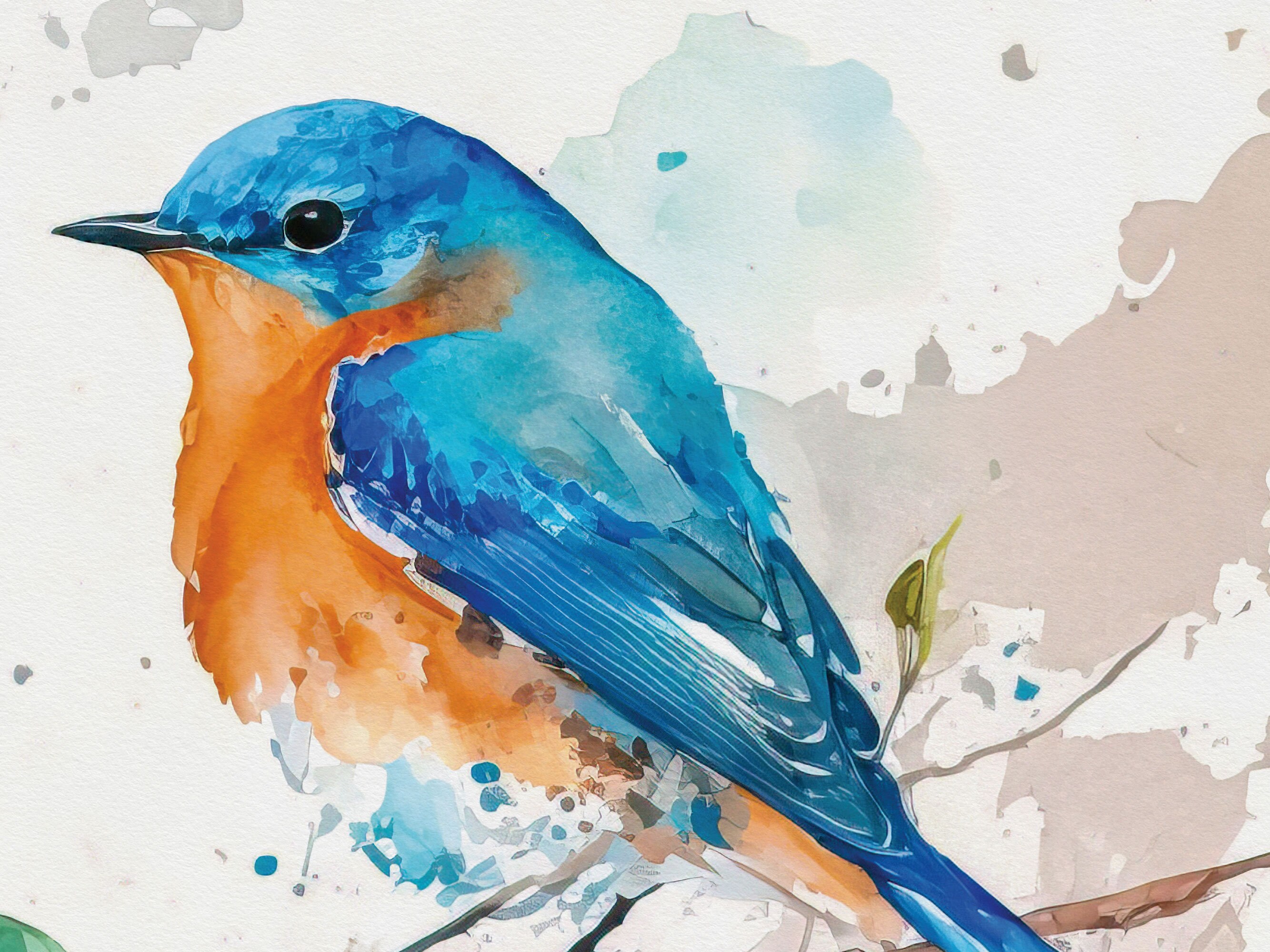 Bluebird Watercolor Print Bird Watercolor Painting Audubon Wall Hanging ...