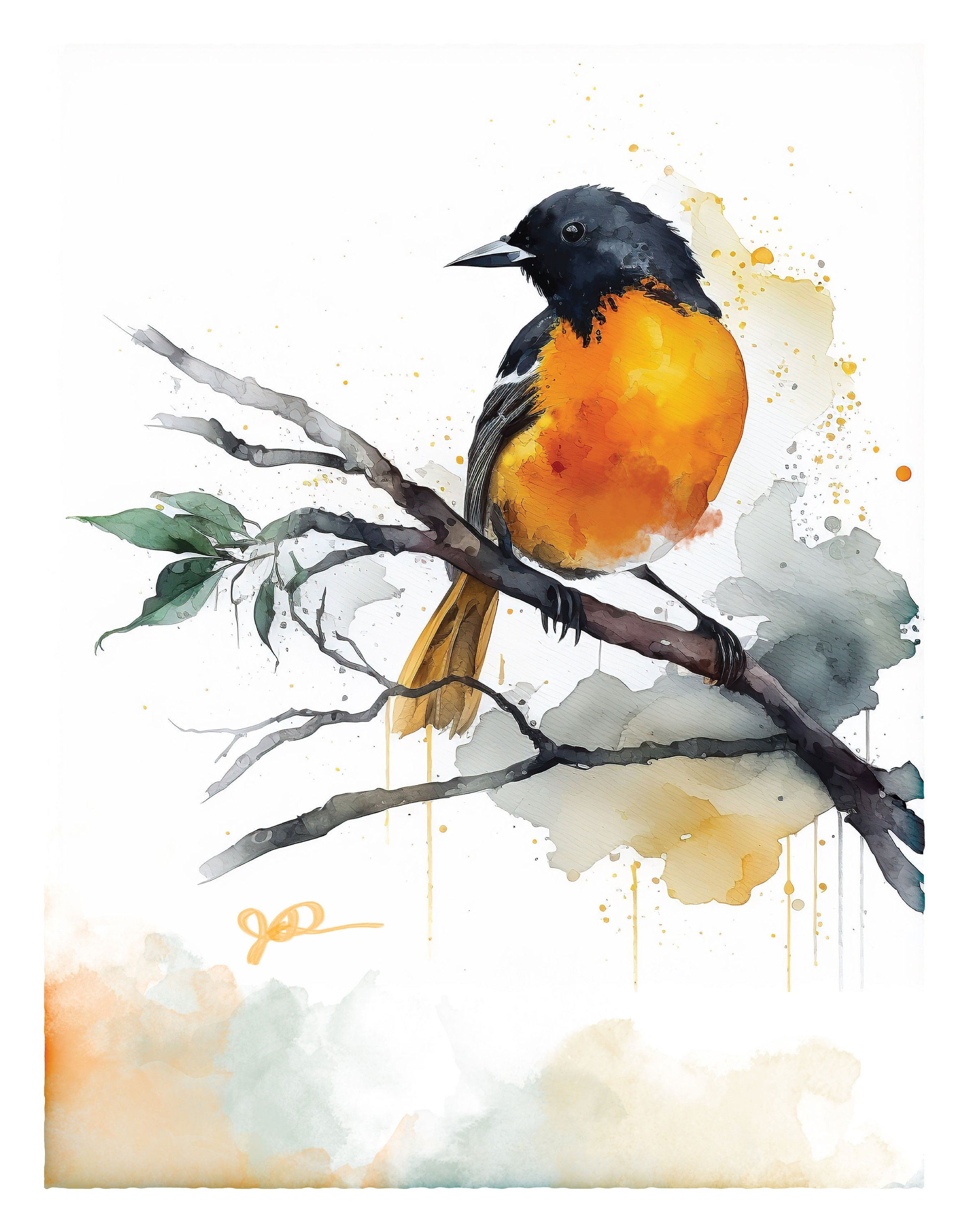 Oriole Watercolor Print Bird Baltimore Oriole Painting Audubon - Etsy