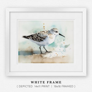 Sandpiper Art Watercolor Print Western Sandpiper Painting Giclee Bird ...