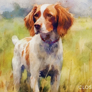 Brittany Spaniel Watercolor Print | Brittany Art on Fine Art Paper ...