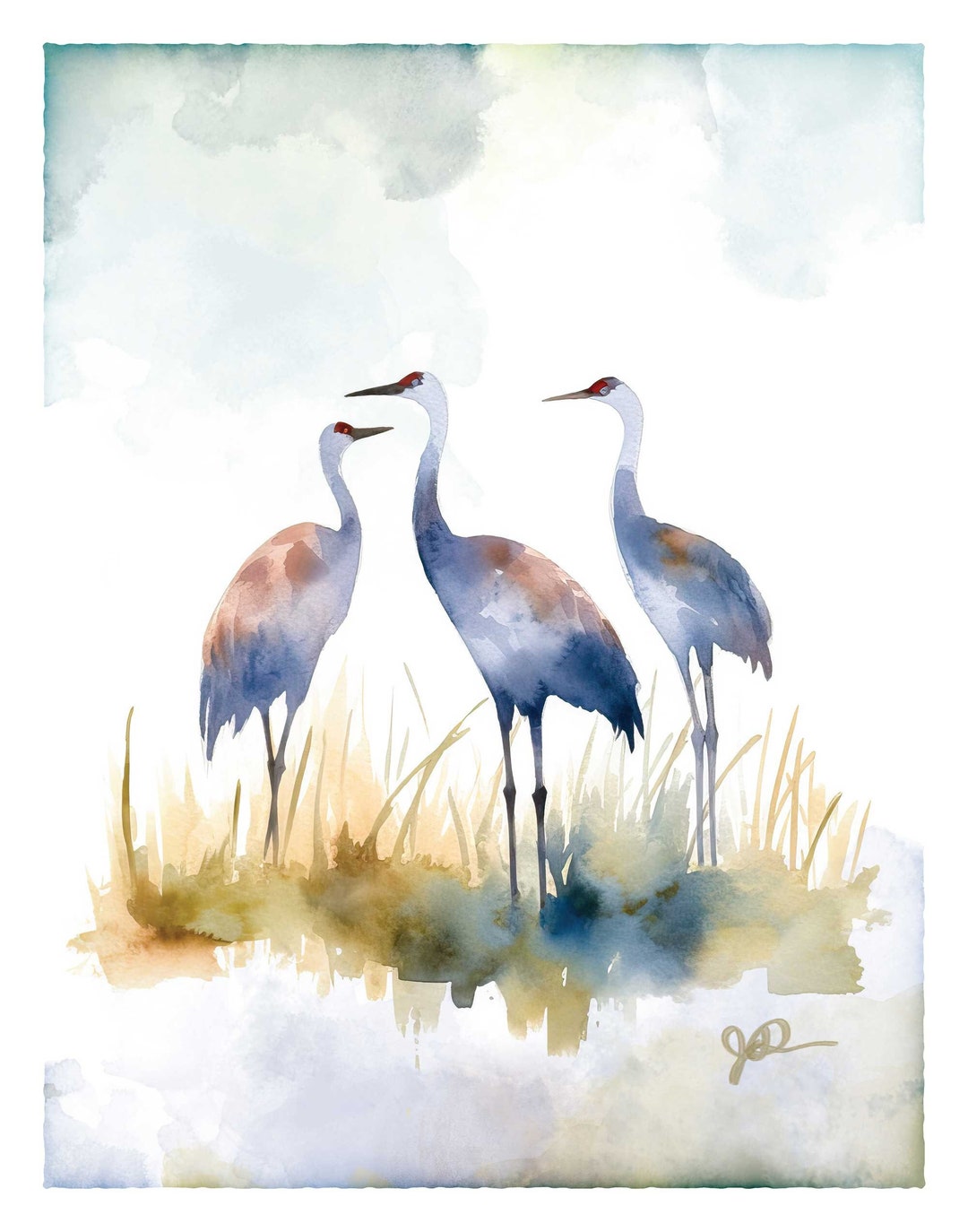 Sandhill Crane Art Watercolor Print Sandhill Cranes Painting Giclee ...