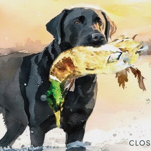 Labrador Retriever Watercolor Print Dog Painting Duck Hunting Wall ...