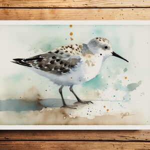 Sandpiper Art Watercolor Print Western Sandpiper Painting Giclee Bird ...