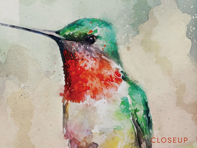 Hummingbird Watercolor Art, Ruby Throated Hummingbird Painting, Bird ...