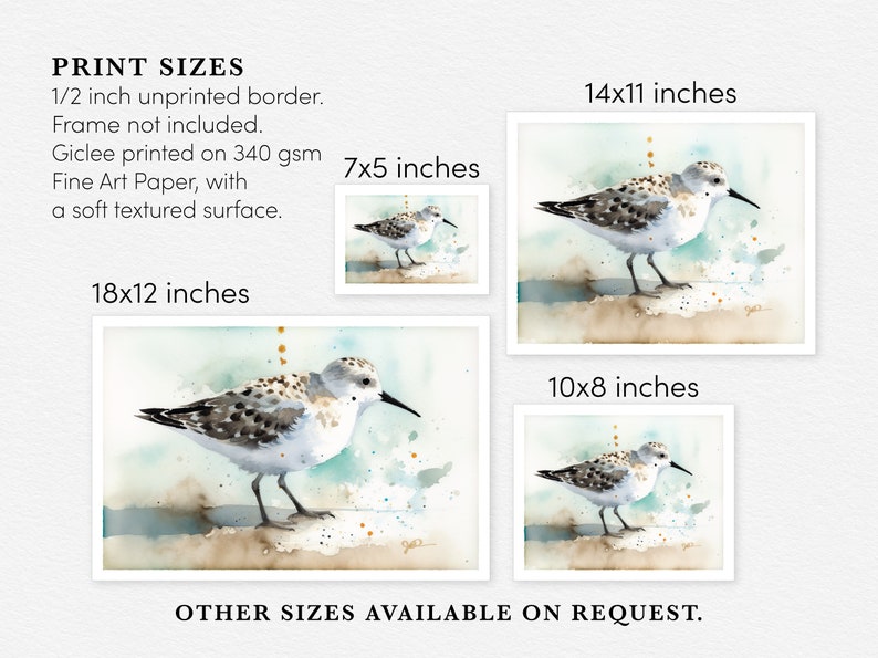 Sandpiper Art Watercolor Print Western Sandpiper Painting Audubon Bird ...