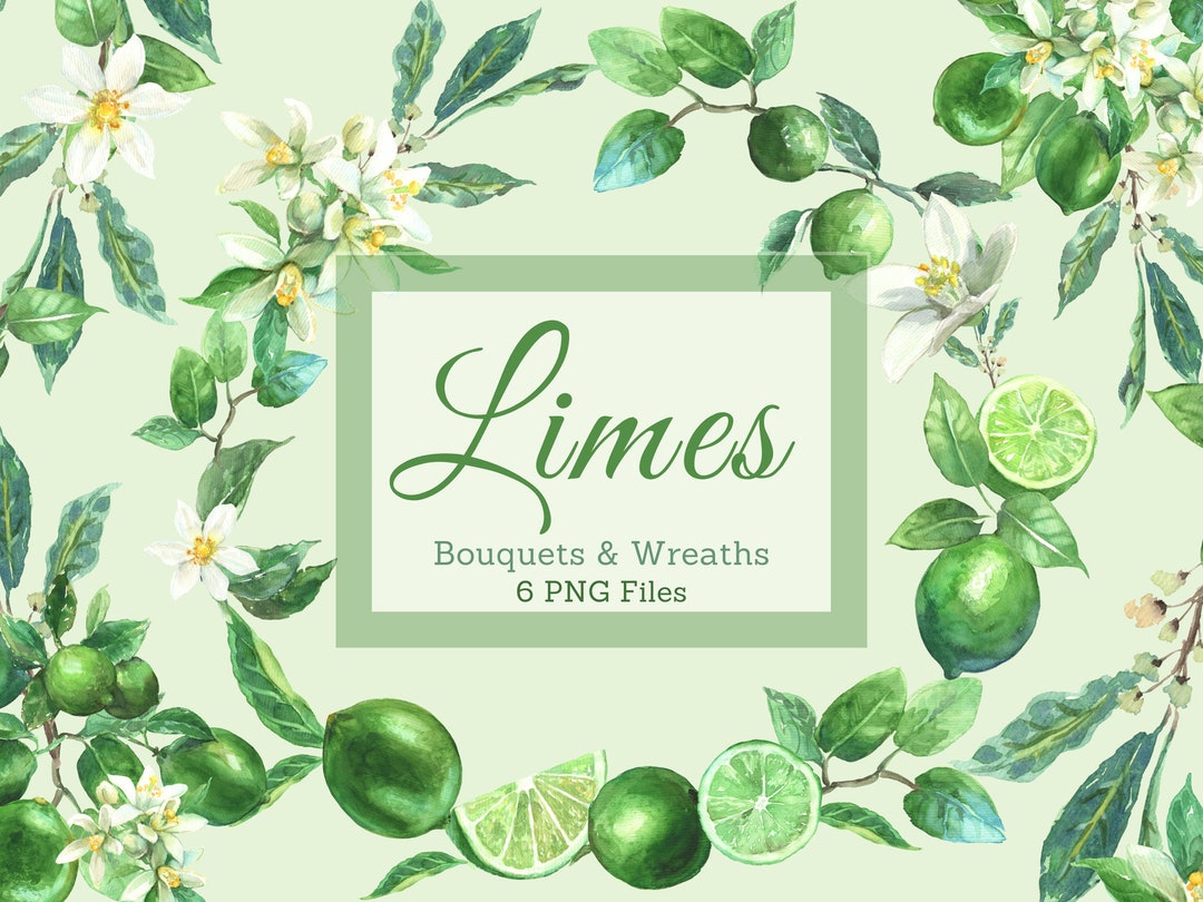 Watercolor Summer Citrus Fruit, Floral Bouquet Clipart, Greenery Leaves ...