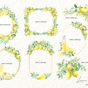 Watercolor Lemon Clipart: Greenery Frames & Bouquets, PNG Digital ...