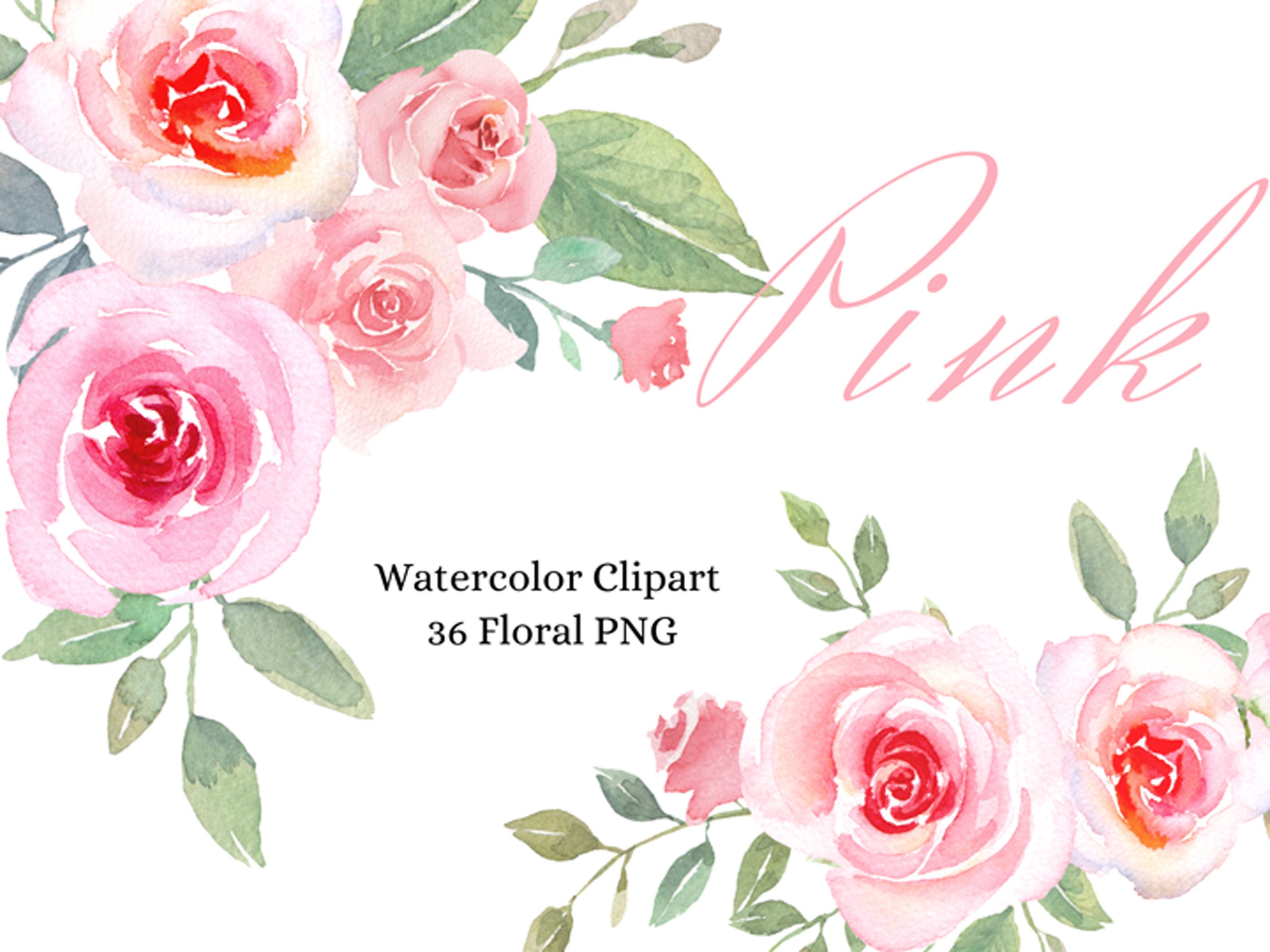 Pink Rose Clip Art
