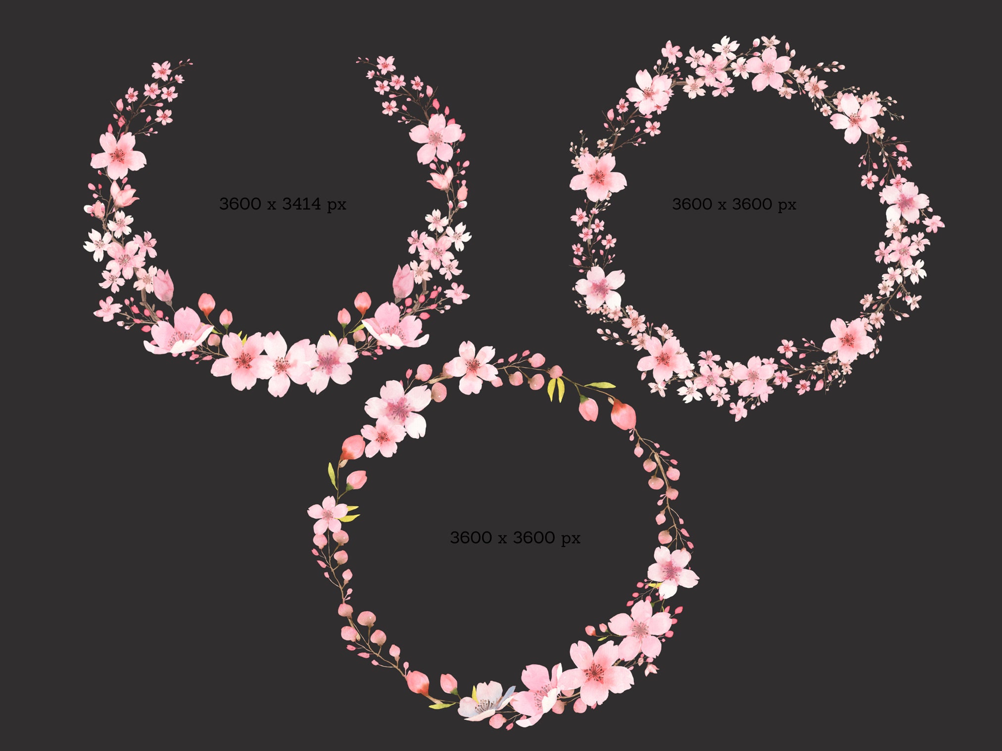 Hand Painted Watercolor Cherry Blossom Clipart: Pink Floral Wreaths ...