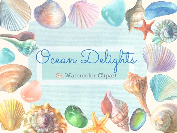 Green Seashell Clipart