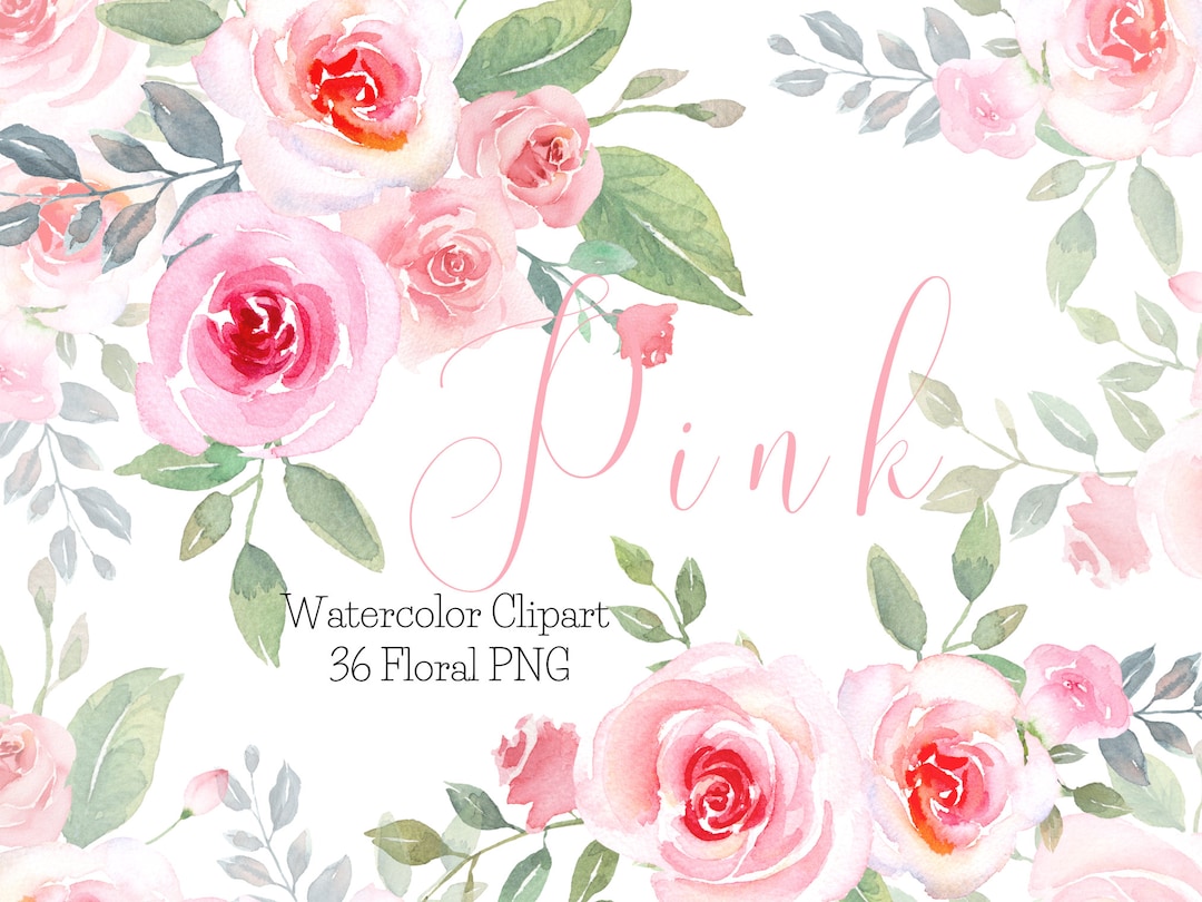 Watercolor Pink Rose Clipart: Floral PNG Elements, Digital Download - Etsy