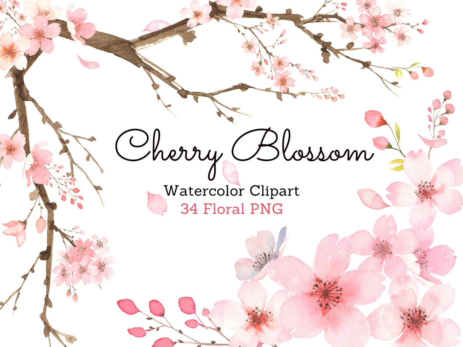 Cherry Blossom Watercolor Clipart Watercolor Scenery Floral - Etsy