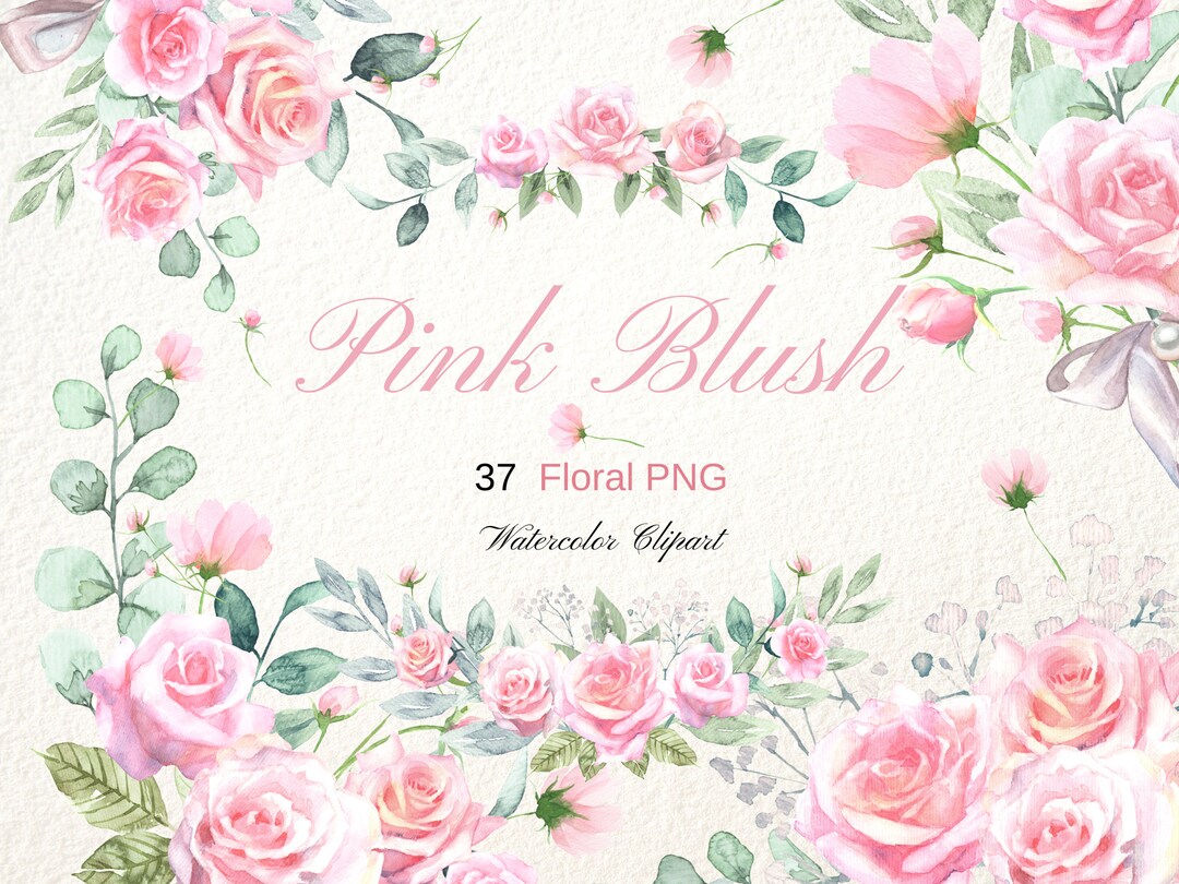 Watercolor Pink Rose Clipart: Floral Bouquets & Elements, Digital ...