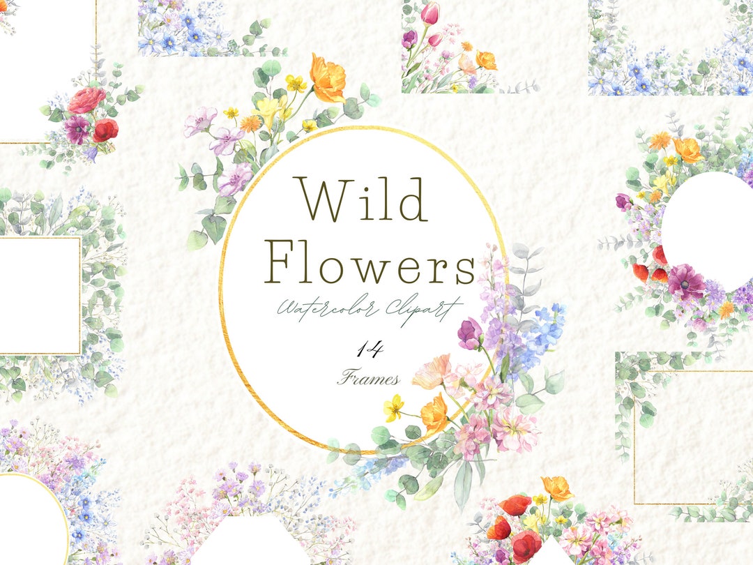 Watercolor Wildflower Frames Clipart: Pastel Floral PNG, Digital ...