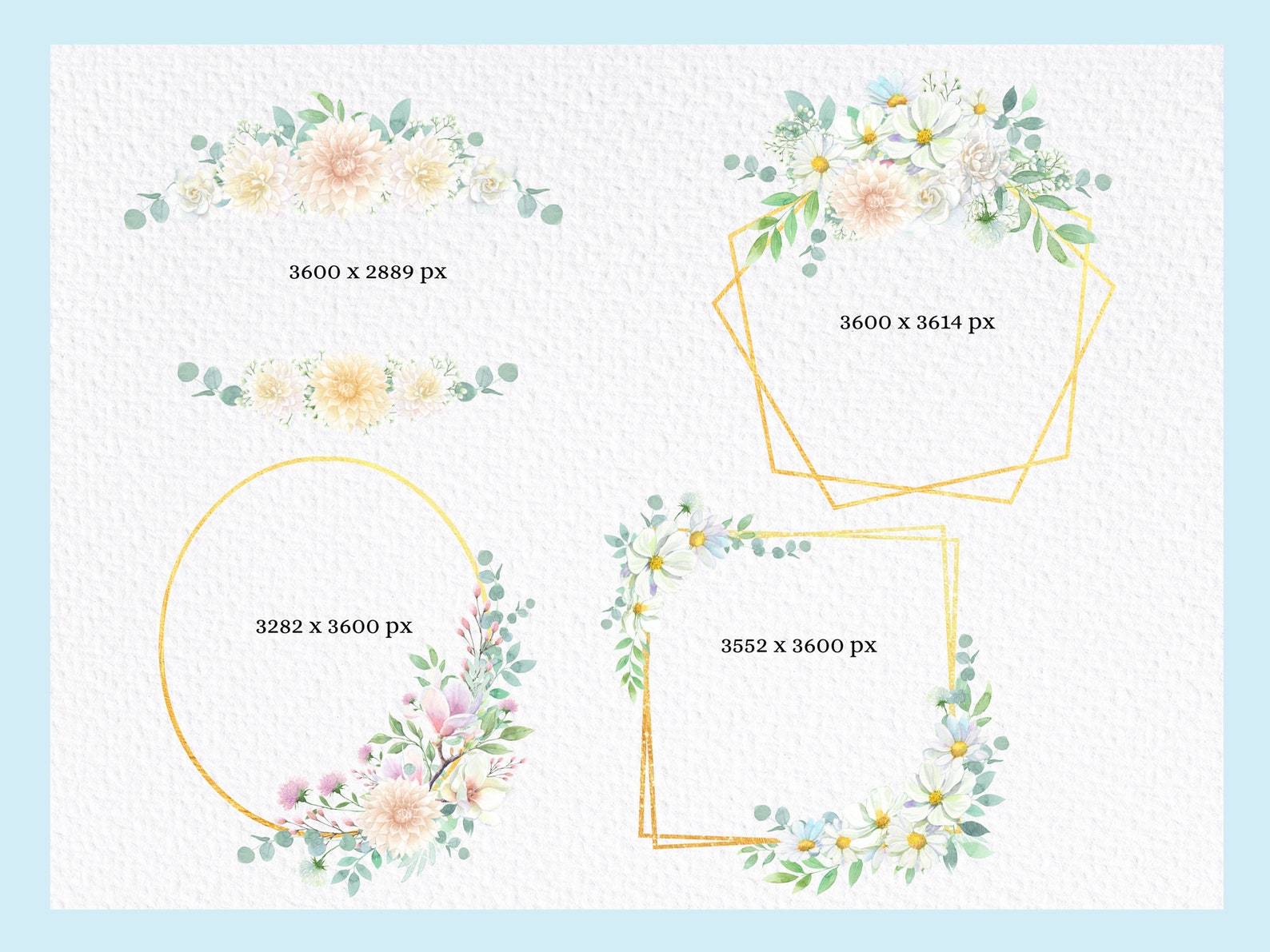 Watercolor Flower Clipart: White Floral Gold Frames (digital Download ...