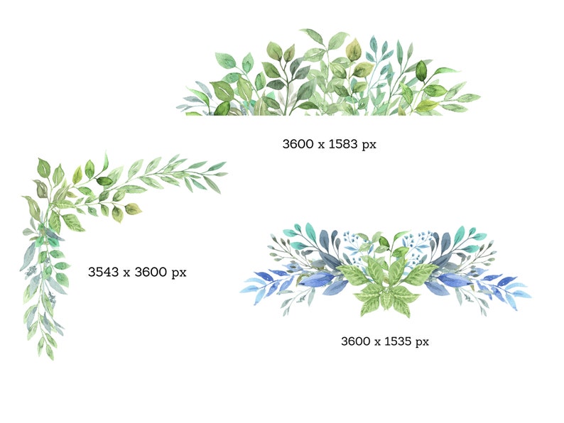 Watercolor Leaves Clipart Greenery Botanical Foliage PNG - Etsy