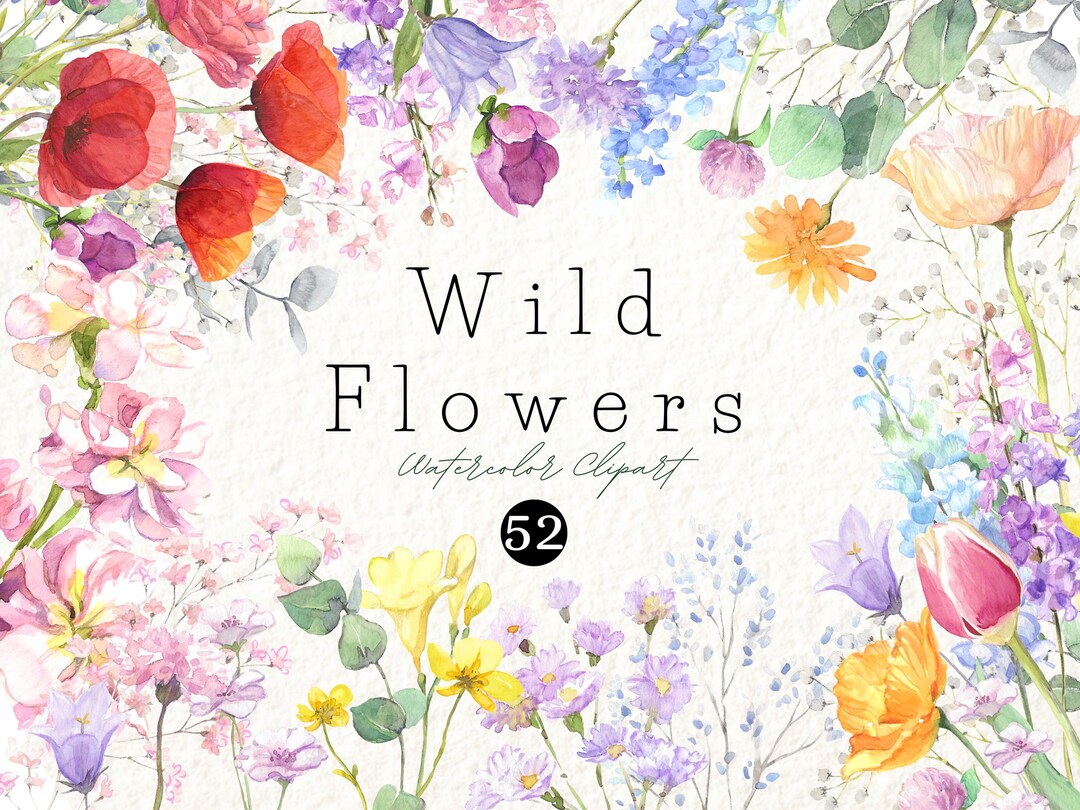 Watercolor Wildflowers Clipart: Pastel Floral PNG Elements, Digital ...