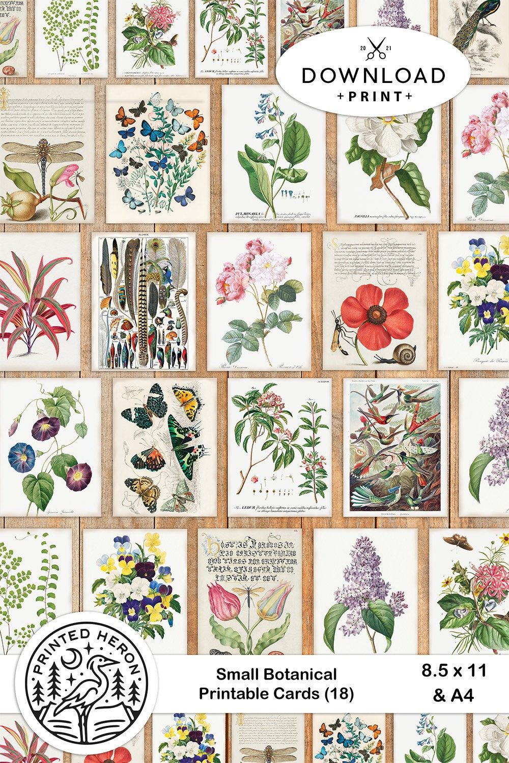Journal Supplies Botanical Cards Printable Vintage Collage - Etsy