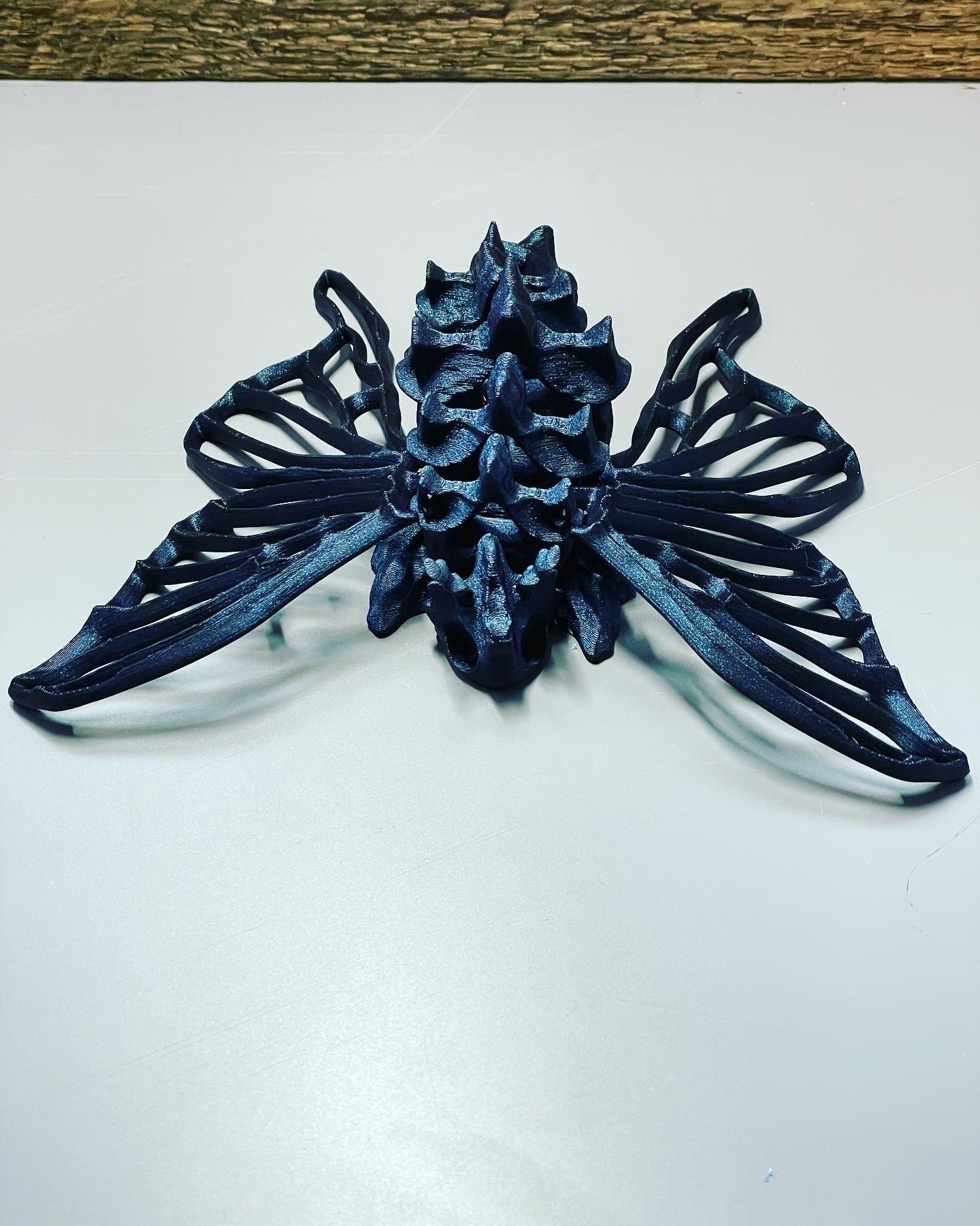 Articulated Bone Moth 3D Printed. Premium Colors Cute and - Etsy Canada