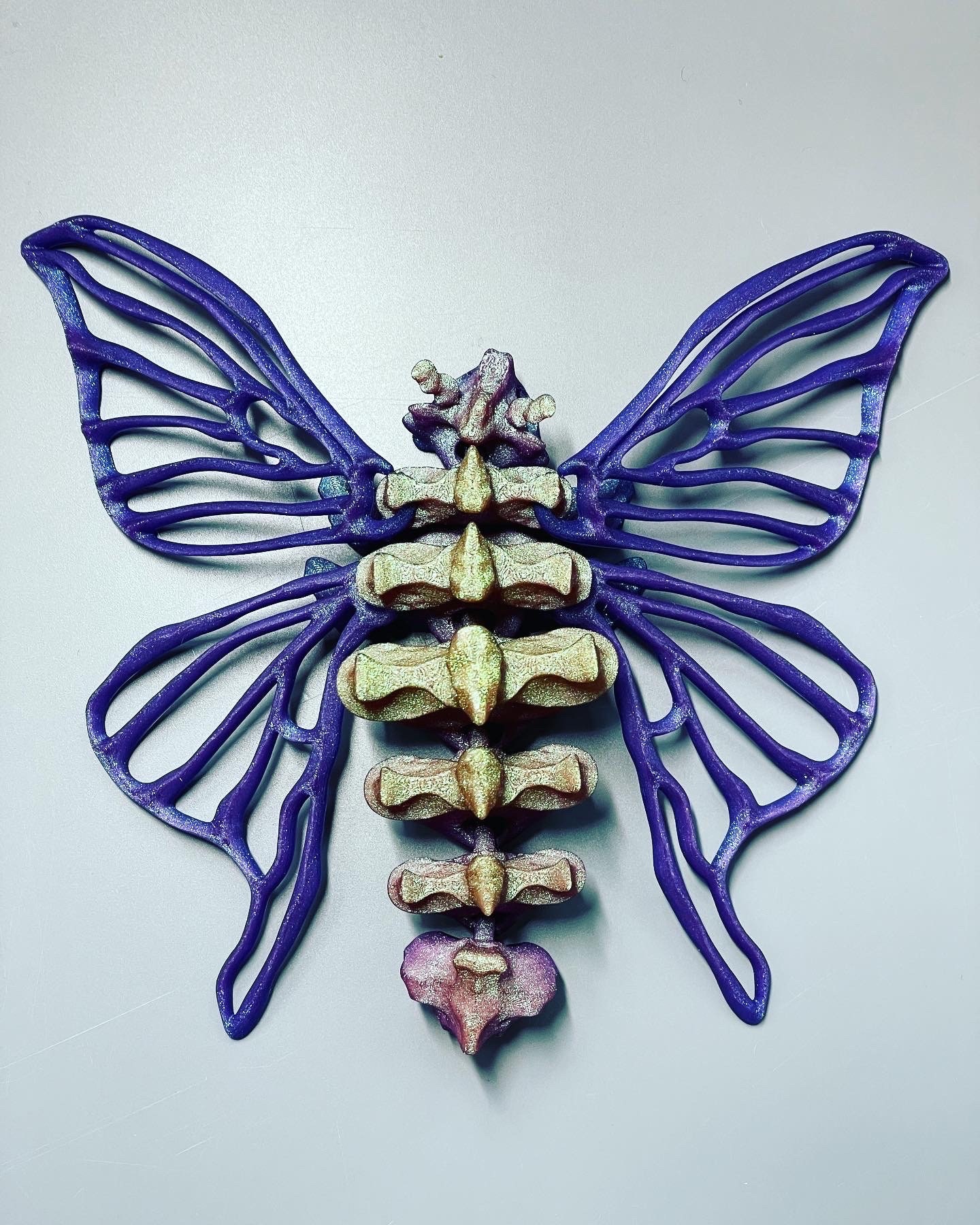 Articulated Bone Moth 3D Printed. Premium Colors Cute and - Etsy