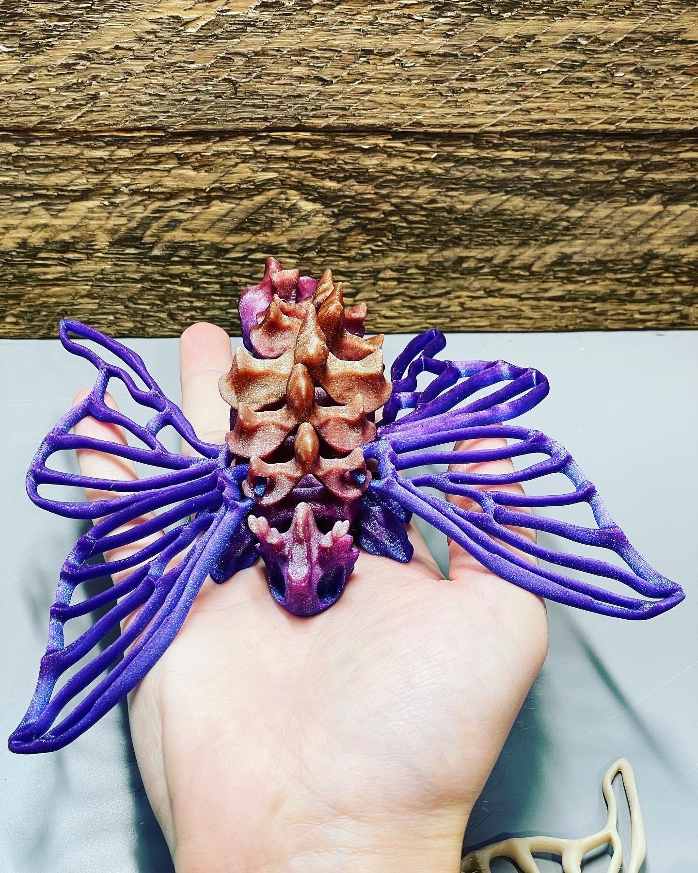 Articulated Bone Moth 3D Printed. Premium Colors Cute and - Etsy