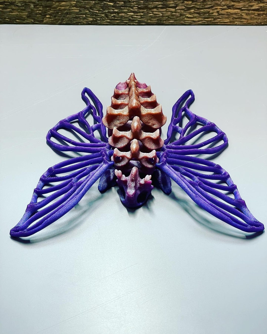 Articulated Bone Moth 3D Printed. Premium Colors Cute and - Etsy