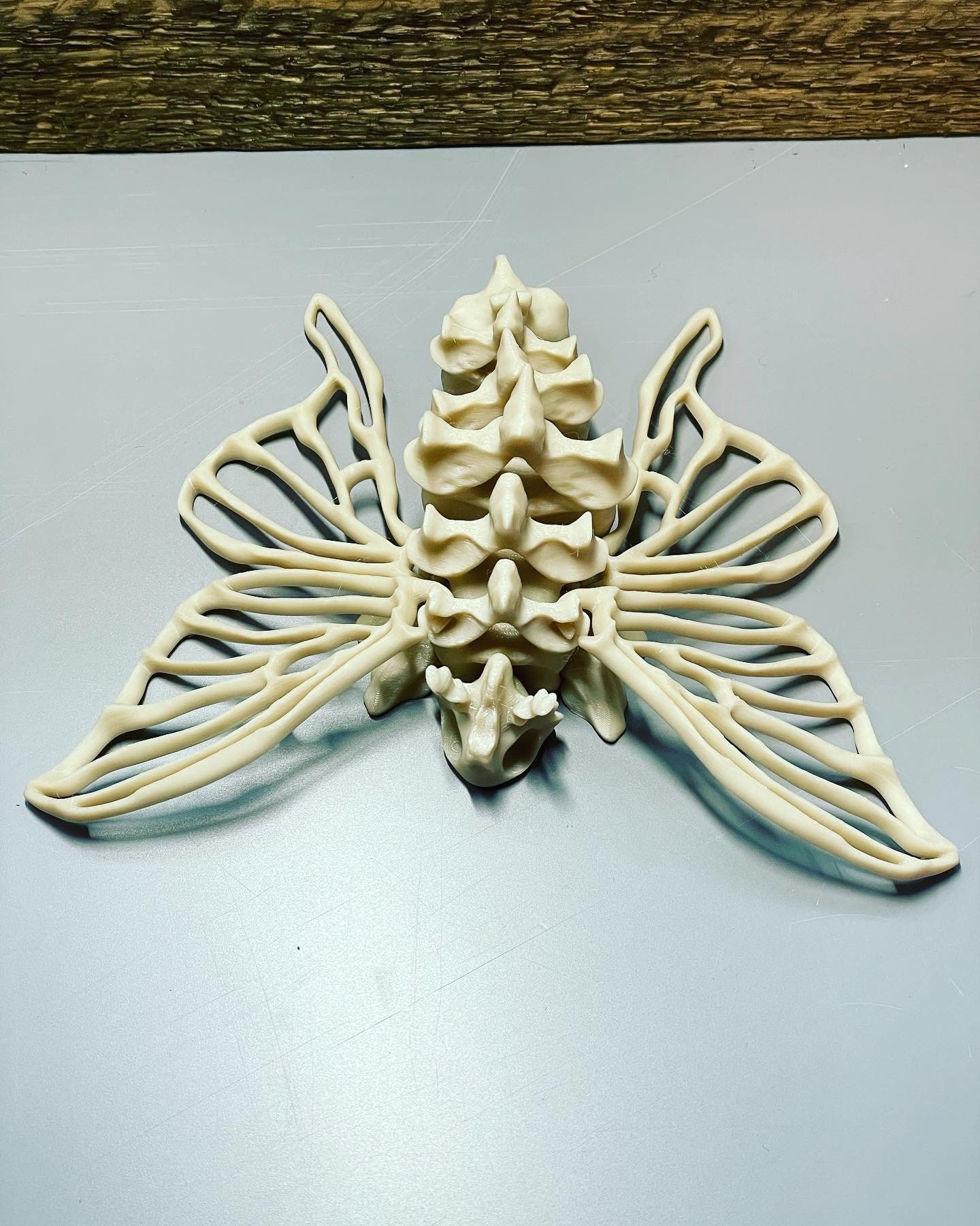 Articulated Bone Moth 3D Printed. Premium Colors Cute and - Etsy