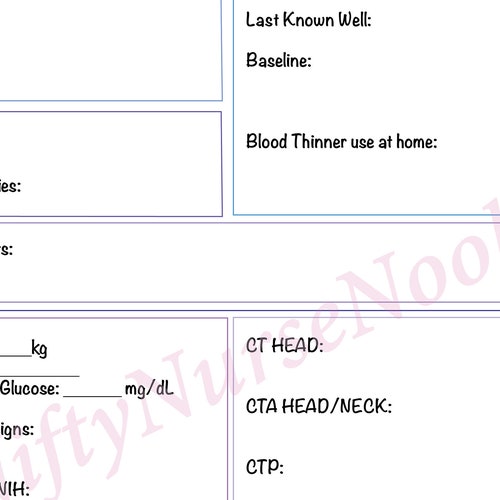 Emergency Room Nurse Report Sheet Organizational Tool for ER - Etsy
