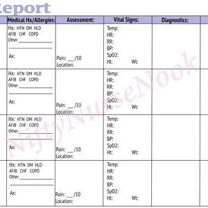 Emergency Room Nurse Report Sheet | Organizational Tool for ER Nurses ...