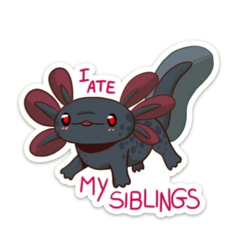 Axolotl Decal Axolotl Sticker I Ate My Siblings Funny | Etsy Axolotl Decal Axolotl Sticker I Ate My Siblings Funny | Etsy